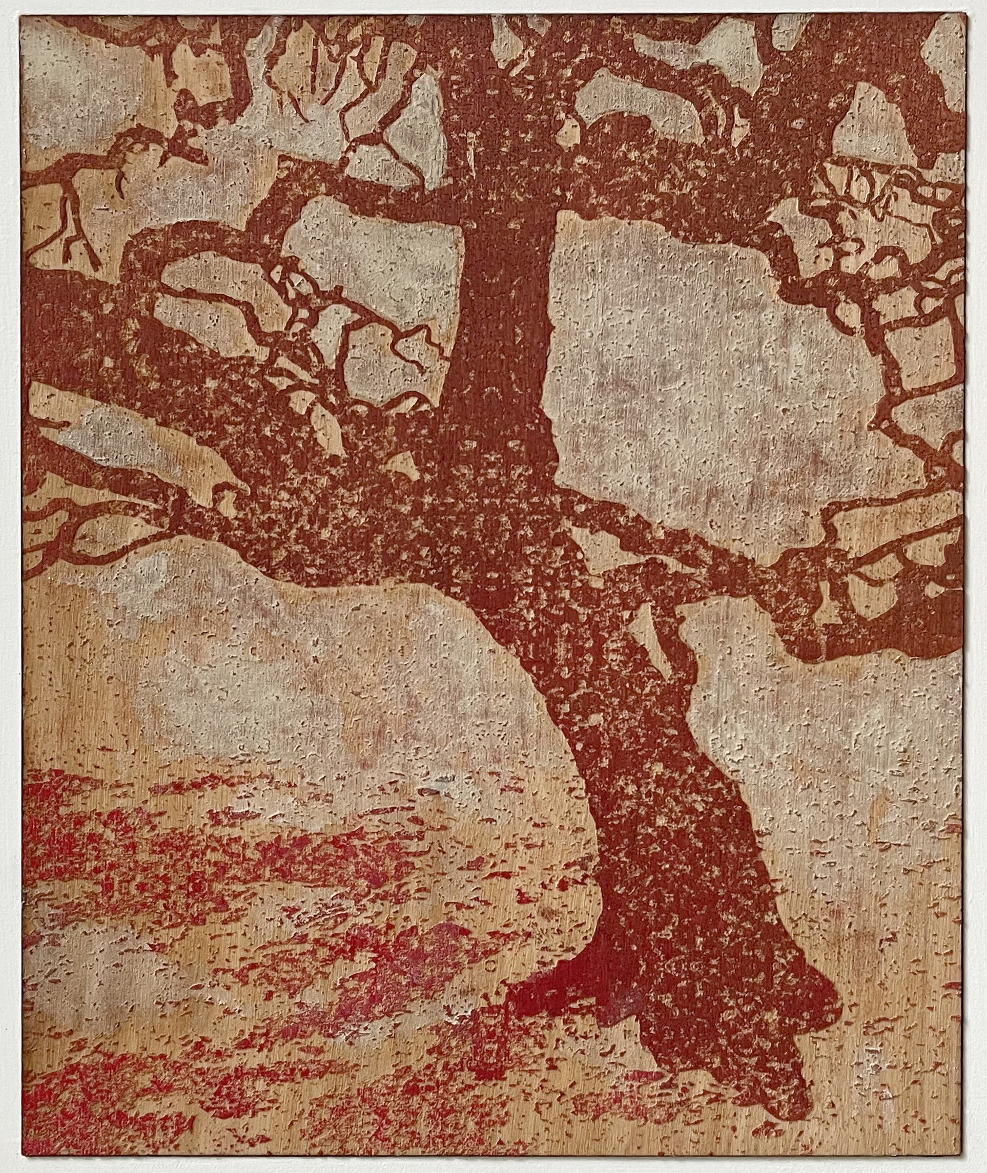 Conor Gallagher, Cork oak – Howbert & Mays
