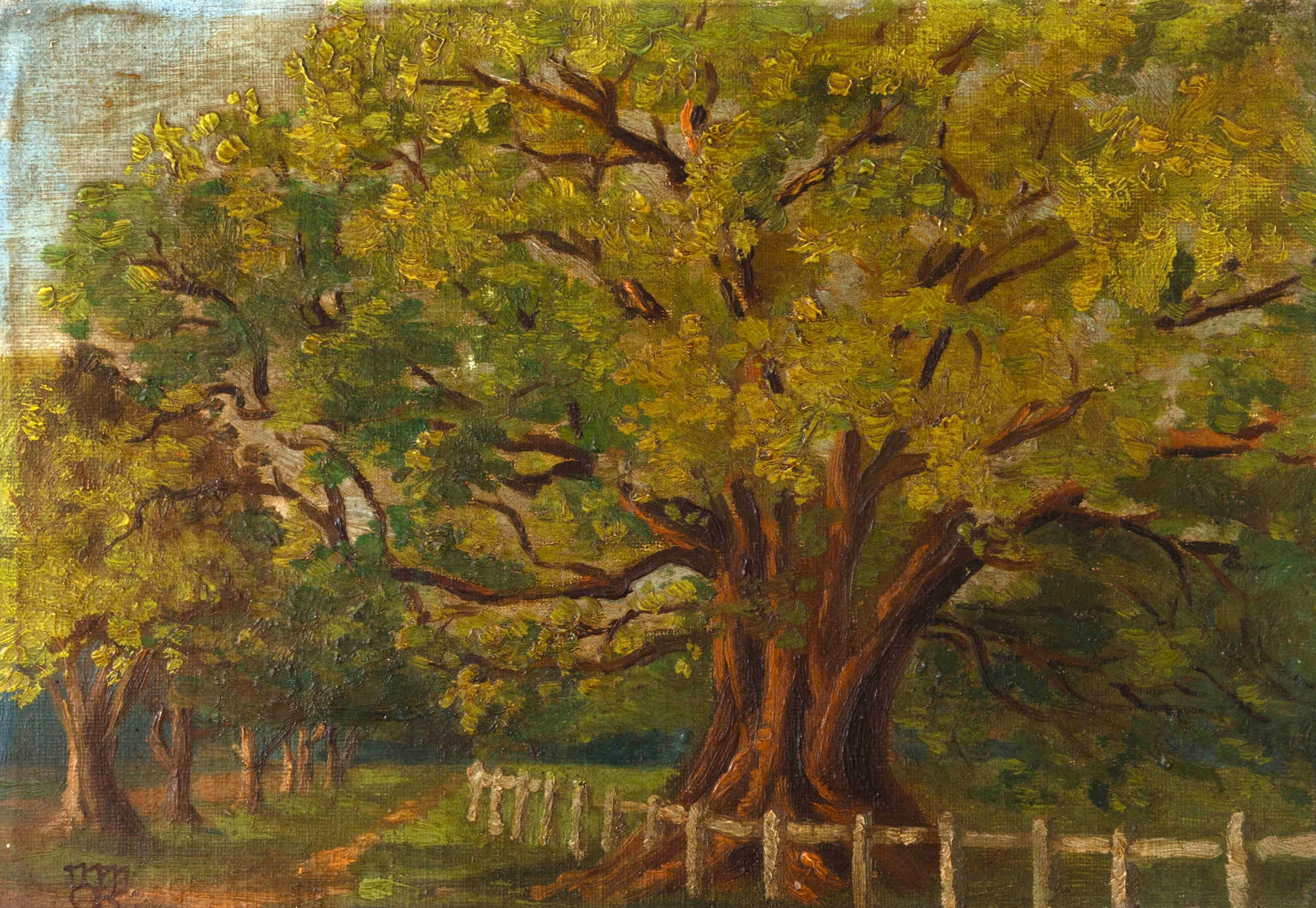 Norah O'Kelly (1886 - 1964), Sacred Pepal Tree, Calcutta, 1912 ...