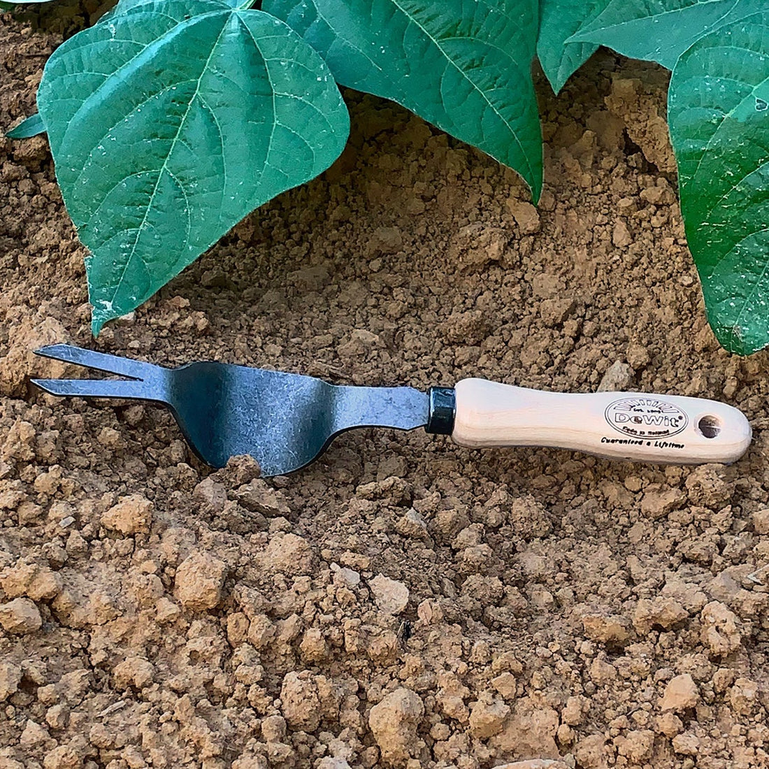 DeWit 'Weed popper' 3482 – Howbert & Mays